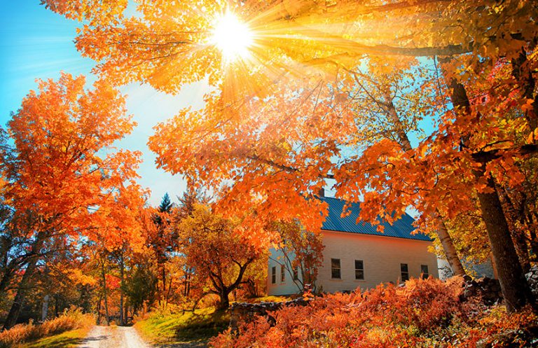 Best Small Towns for Fall Foliage | ShipGo