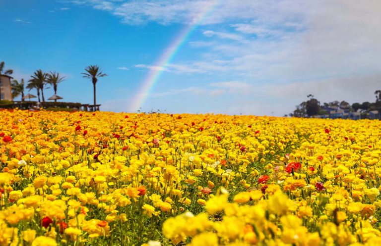 7 Spring Destinations to Visit with Teens - ShipGo Blog: The New Way To ...